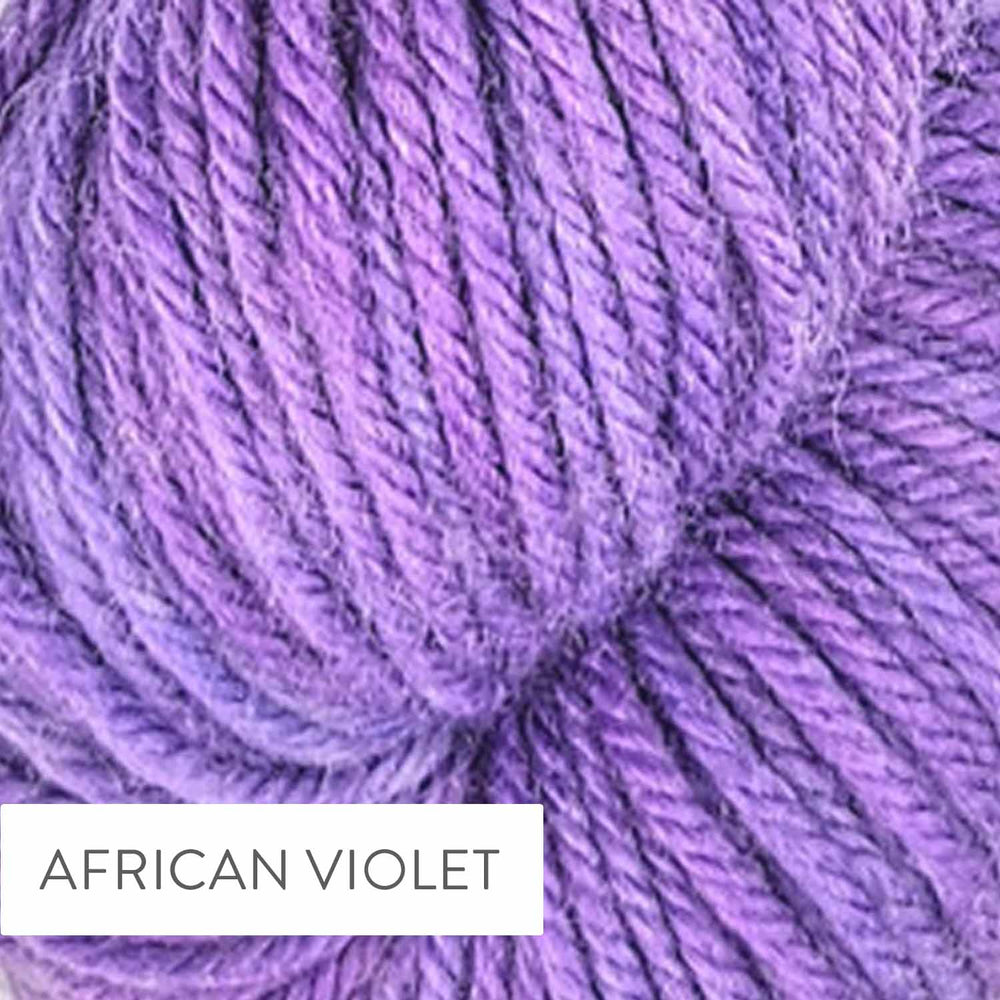 New Arrivals - Twice Sheared Sheep